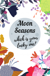 Moon seasons infographic - stages of moon cycle