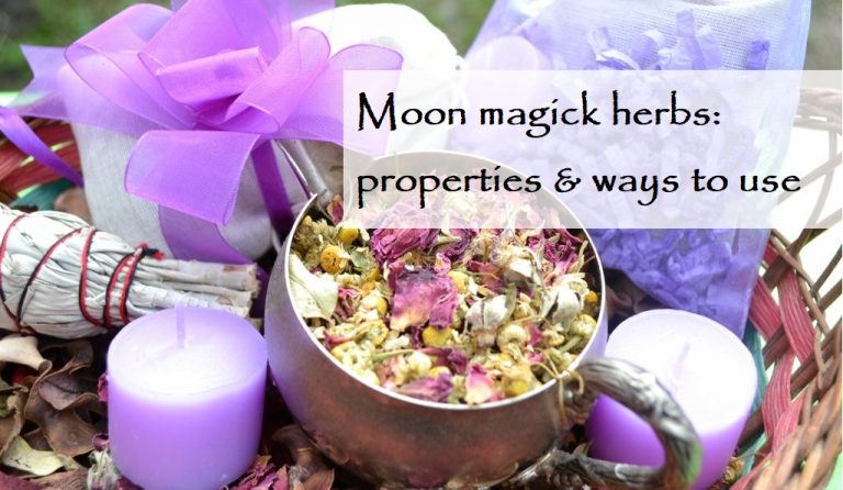 Moon Witchcraft Knowledge Base - Moon Organizer