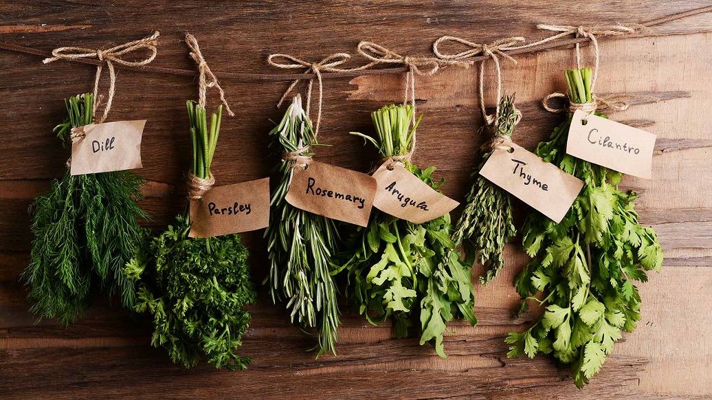 New Moon herbs - how to choose herbs for your rituals