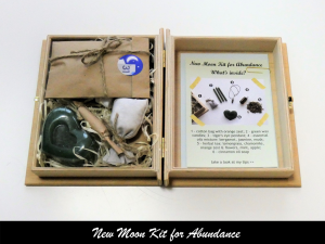 New Moon Kit for Abundance from Moon Organizer - Moon Witchcraft