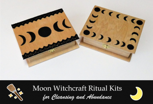 New Moon Kit for Abundance from Moon Organizer - Moon Witchcraft