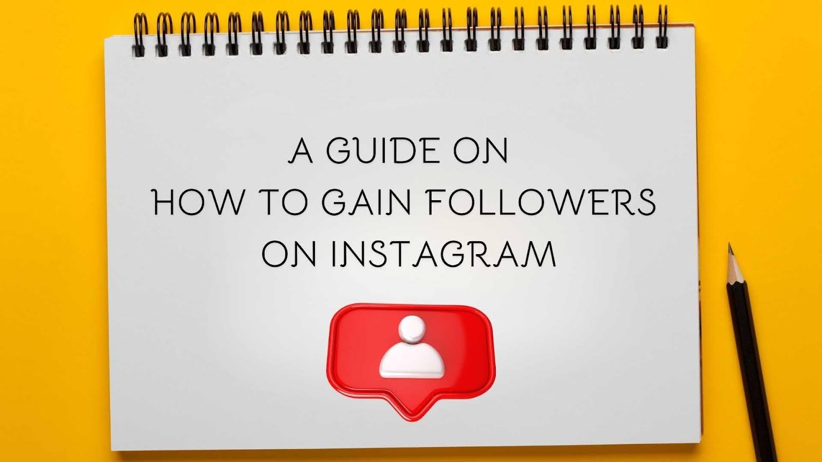 A Guide on How to Gain Followers on Instagram - Moon Organizer